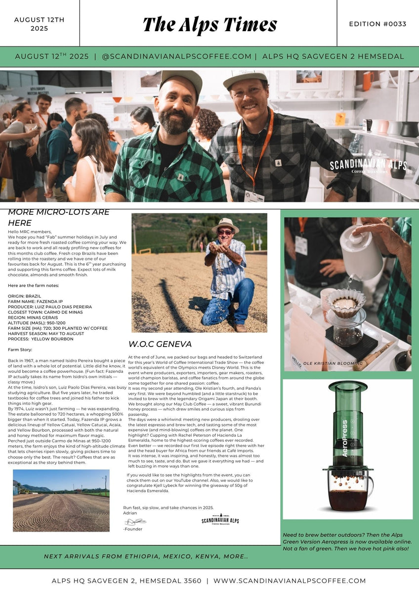 AUGUST MRC 2025 Brazil Fazenda IP – Scandinavian Alps Coffee